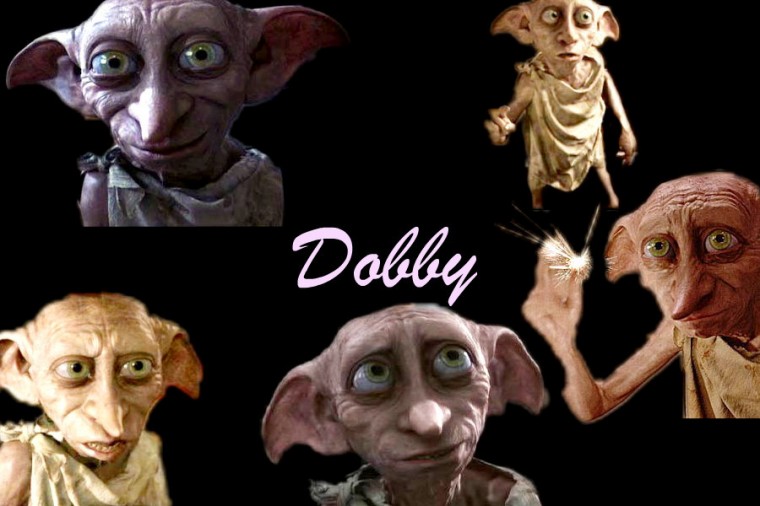 🔥 [130+] Dobby Wallpapers | WallpaperSafari
