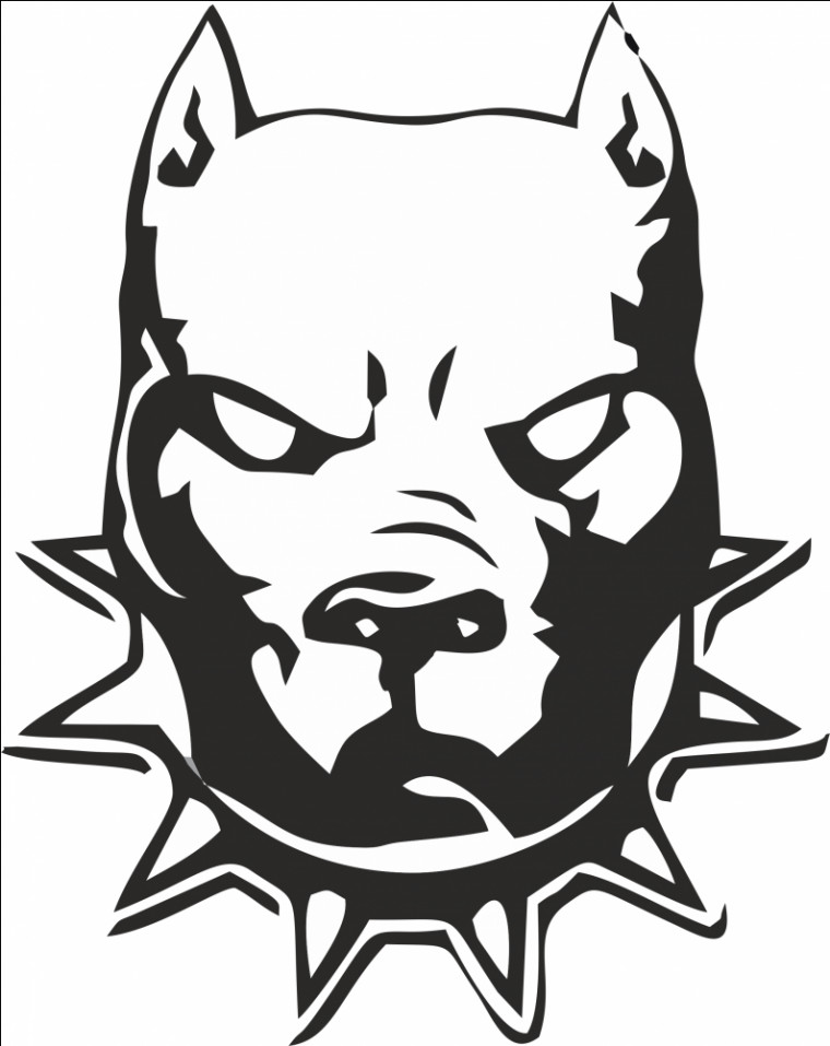 🔥 [10+] Pitbull Logo Wallpapers | WallpaperSafari