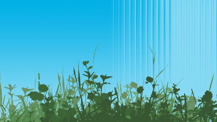 🔥 [50+] Bluegrass Wallpapers | WallpaperSafari