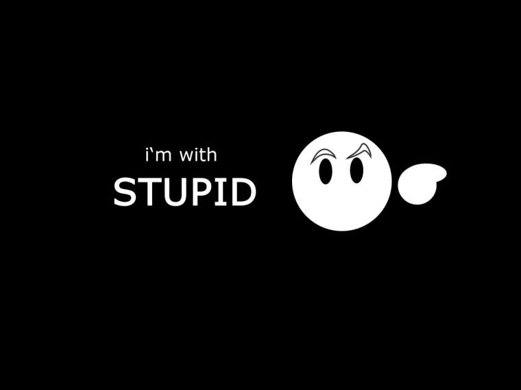 Free download Stupid Wallpaper by Tzitzi09 [1242x921] for your Desktop ...