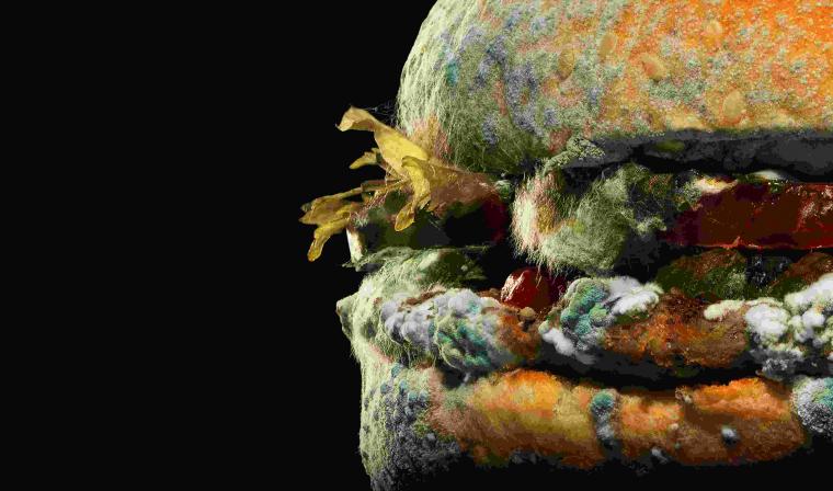 🔥 [20+] Whoppers Backgrounds | WallpaperSafari