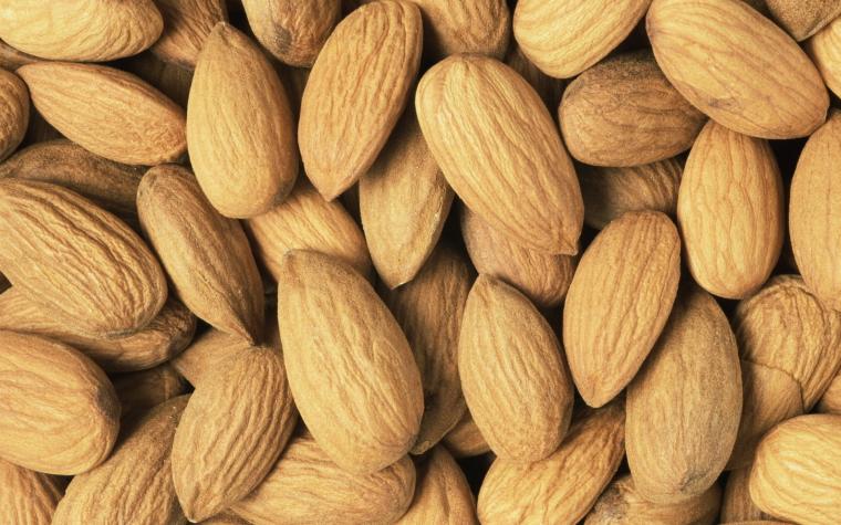 🔥 [40+] Nuts Wallpapers | WallpaperSafari