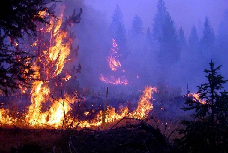 🔥 Free Download Wildland Fire Wallpaper by @vcraig | WallpaperSafari