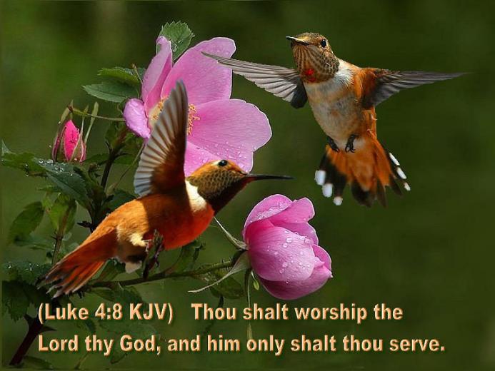 🔥 [50+] KJV Wallpapers Bible Verses | WallpaperSafari