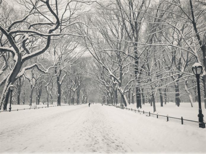 🔥 [40+] Central Park Winter Wallpapers | WallpaperSafari