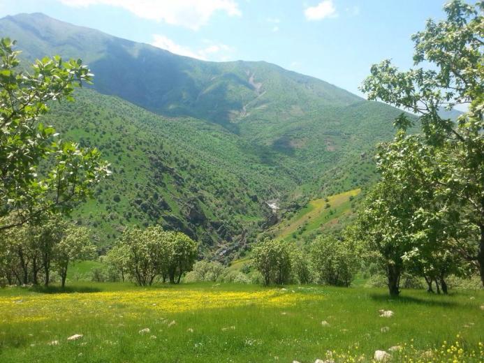 🔥 [40+] Bashur Wallpapers | WallpaperSafari