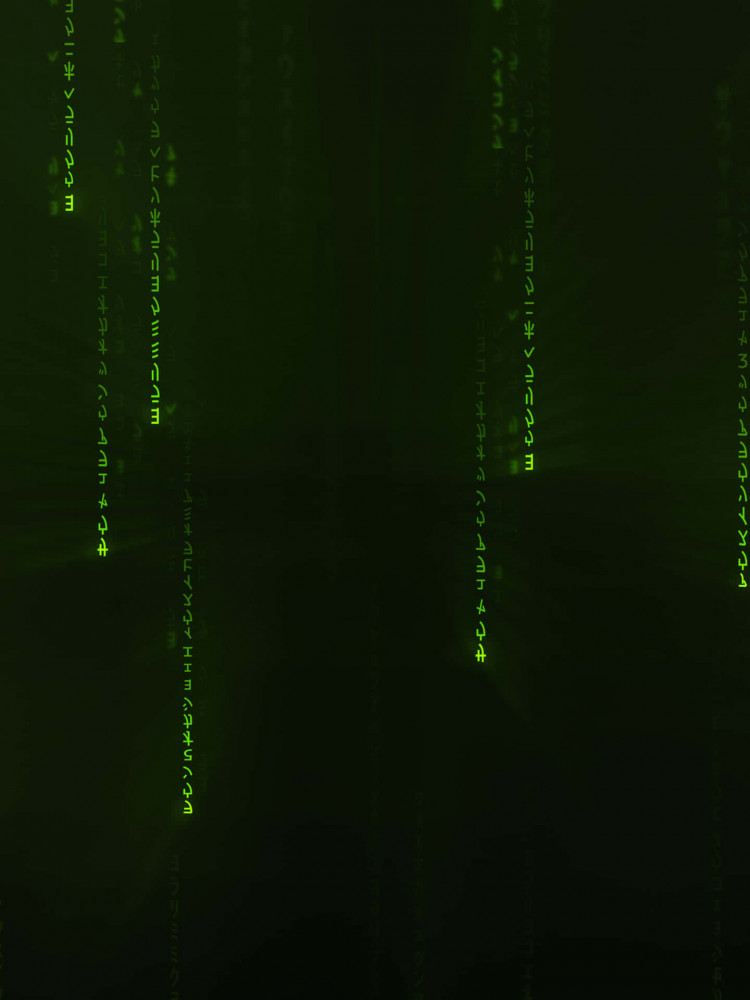 🔥 Free Download The Matrix Wallpaper by @abigailbennett | WallpaperSafari