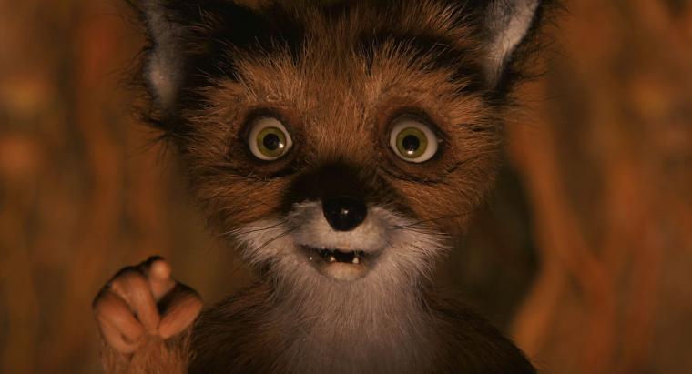 🔥 [50+] Mr Fox Wallpapers | WallpaperSafari