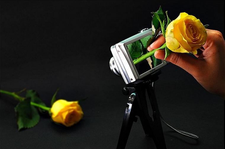 🔥 [50+] Real Life Wallpapers | WallpaperSafari