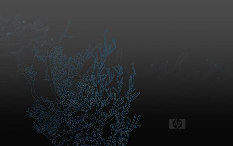 🔥 Free Download Hp Screensavers And Wallpaper by @maryb89 | WallpaperSafari
