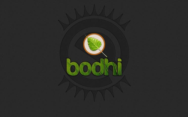 🔥 Free Download Wallpaper Bodhi Linux Blue by @dcurry | WallpaperSafari