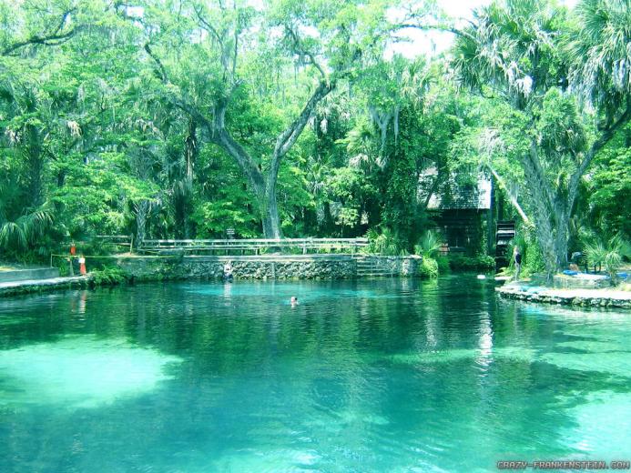 🔥 [90+] Spring Break Wallpapers | WallpaperSafari