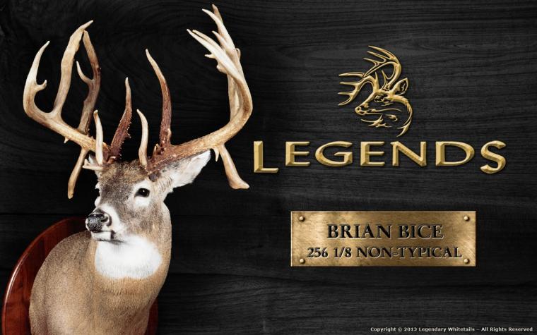 🔥 [50+] Legendary Whitetails Wallpapers | WallpaperSafari