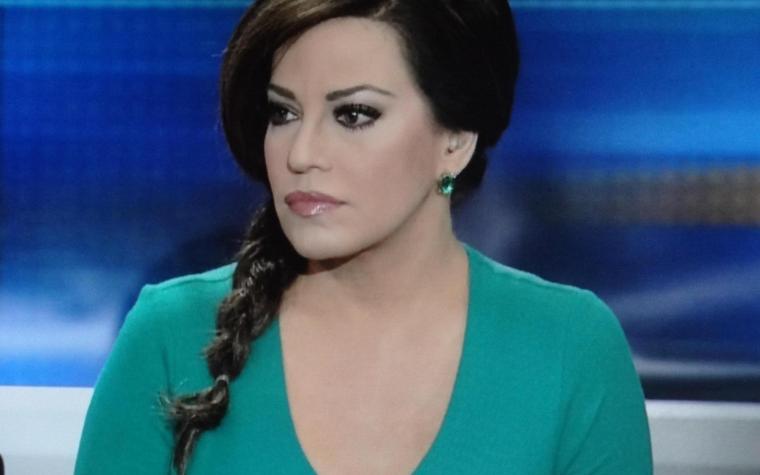 Free download Robin Meade In A Red Dress On The Red Carpet 1024 x ...