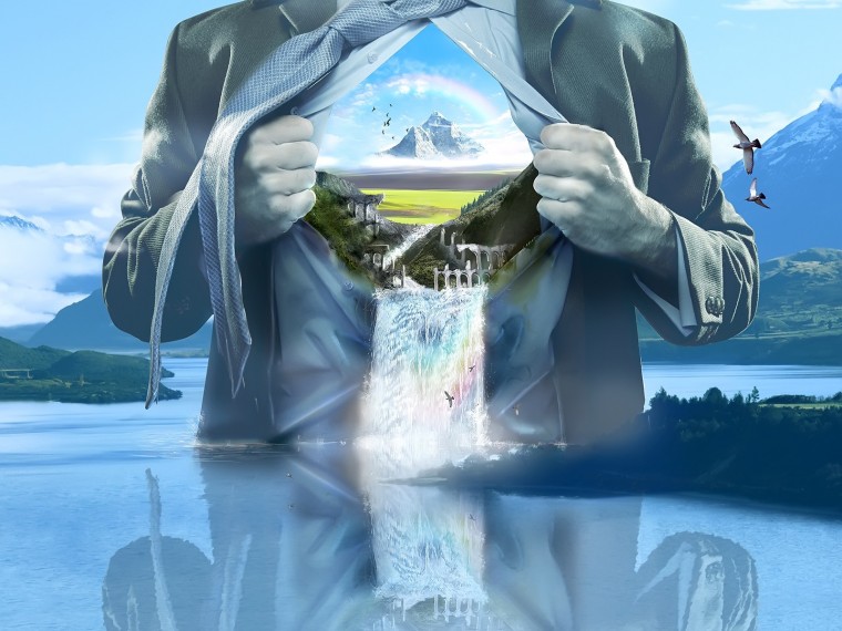 Free download Random wallpapers Funny Animal Pictures [1024x768] for ...