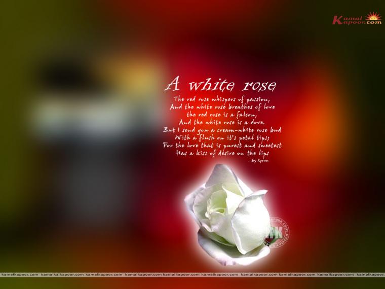 Free download Love Poems Wallpaper [1024x768] for your Desktop, Mobile ...