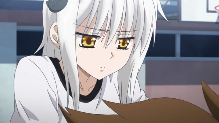 🔥 [90+] Koneko Wallpapers | WallpaperSafari