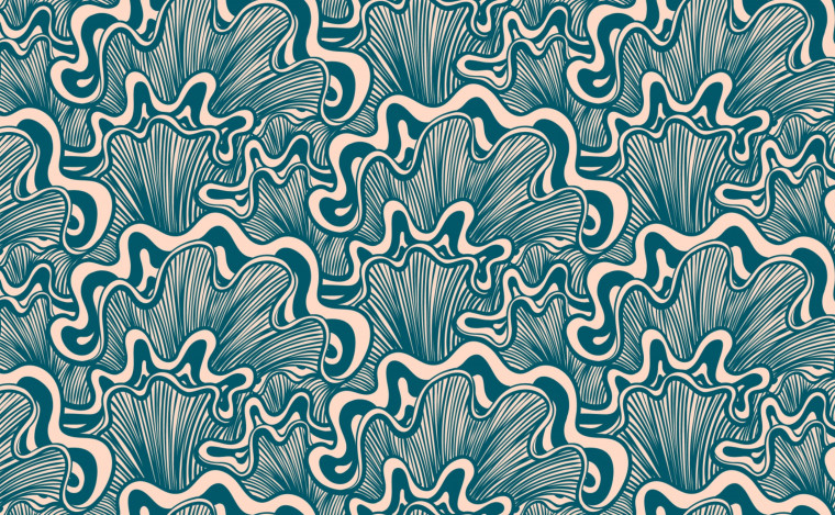 🔥 Free Download Image A Beautiful Clam Shell Wallpaper by @mariai84 ...