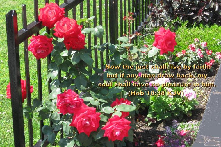 inspirational wallpaper spring summer flowers bible verses large size ...