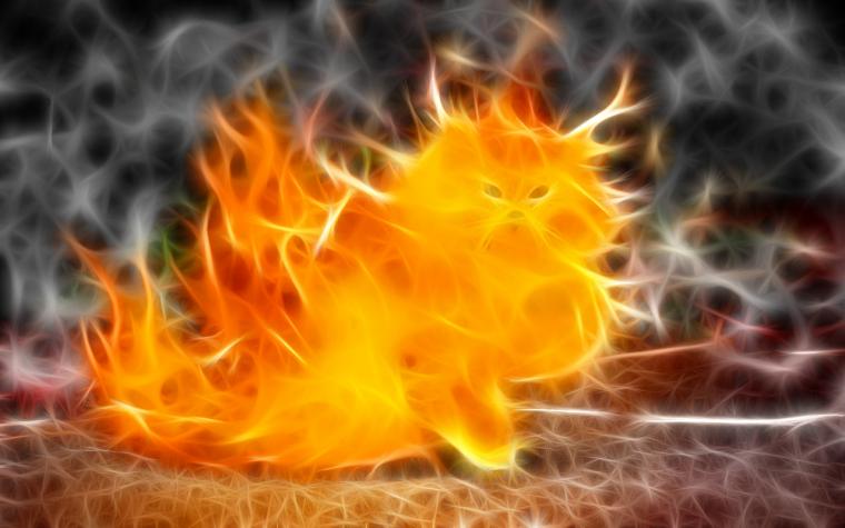🔥 Free Download Beautiful Fire Cat Hd Wallpaper Animals by ...