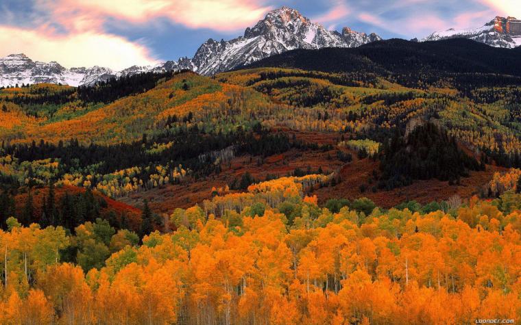 🔥 [50+] Windows XP Fall Wallpapers | WallpaperSafari