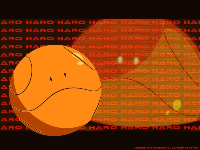 🔥 [30+] Haro Wallpapers | WallpaperSafari