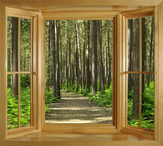 🔥 [40+] Window Frame Wallpapers | WallpaperSafari