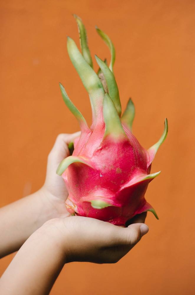 🔥 Free Download Dragonfruit Pink Fruit Food Photography Wallpaper by ...