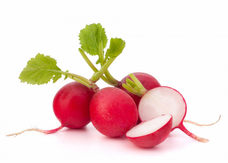 🔥 Free Download Crisp Red Radish Food Photography Wallpaper by @loriv ...