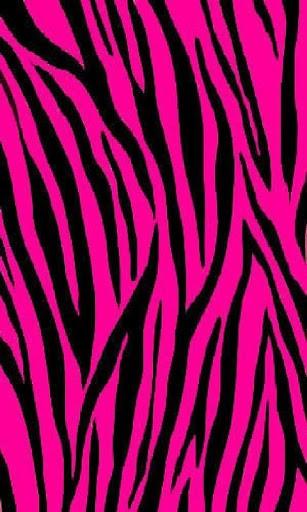 🔥 [70+] Pink Zebra Wallpapers | WallpaperSafari