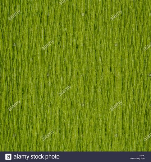 Free download 1920x1080 Chartreuse For Web Solid Color Background ...