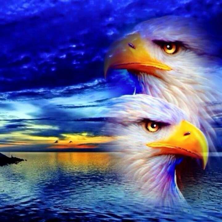 🔥 [20+] Native Eagle Wallpapers | WallpaperSafari