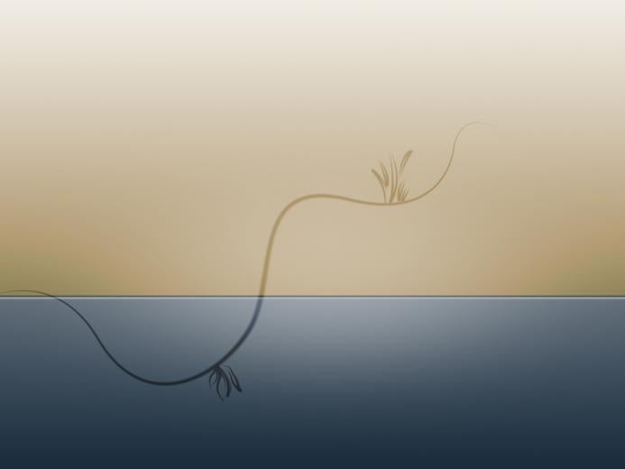 🔥 [50+] Basic Wallpapers for Computer | WallpaperSafari