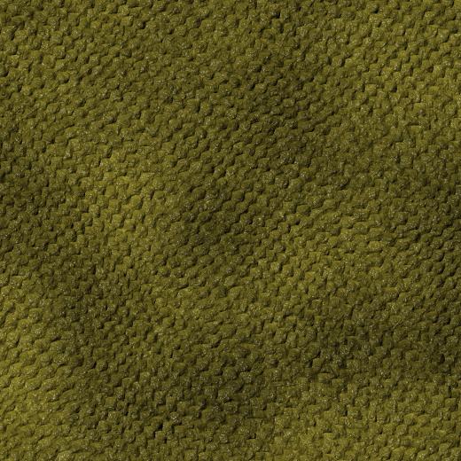 🔥 [40+] Reptile Skin Wallpapers | WallpaperSafari