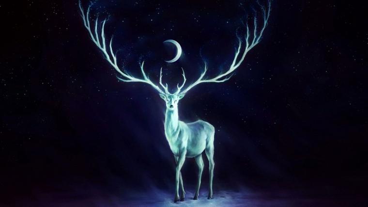 🔥 [30+] Stag Backgrounds | WallpaperSafari