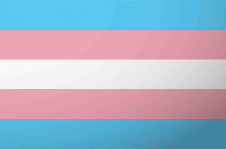 🔥 [50+] Trans Flag Wallpapers | WallpaperSafari