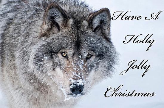 🔥 [40+] Wolf Christmas Wallpapers | WallpaperSafari