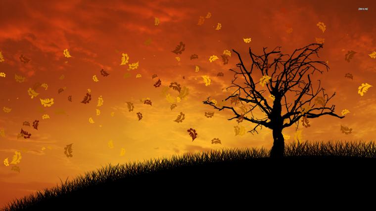 Free download Trees in autumn Autumn Wallpaper 22174426 [1920x1080] for ...