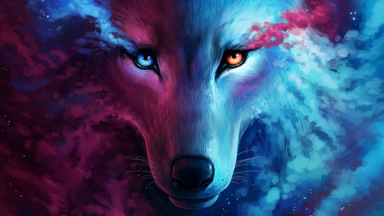 🔥 Free Download Wolf Aesthetic Wallpaper by @hkim | WallpaperSafari