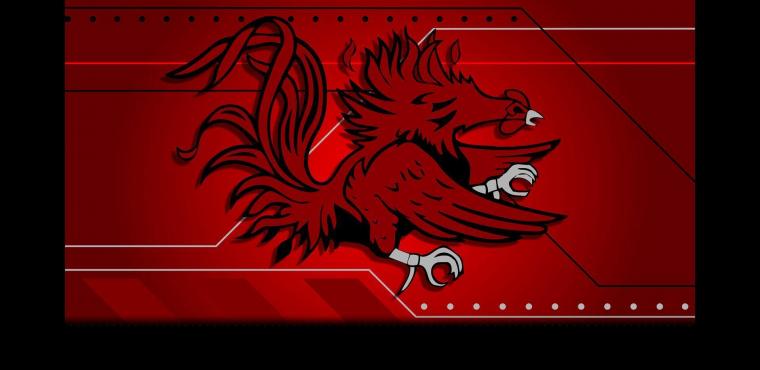Free download Gamecock Wallpaper For Computer HD Quality Gamecock ...