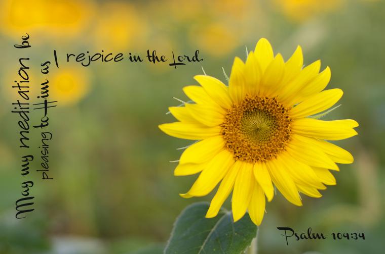 🔥 [100+] Free Scripture Spring Wallpapers | WallpaperSafari