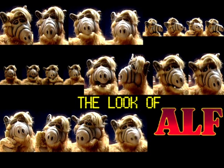 🔥 [80+] Alf Wallpapers | WallpaperSafari
