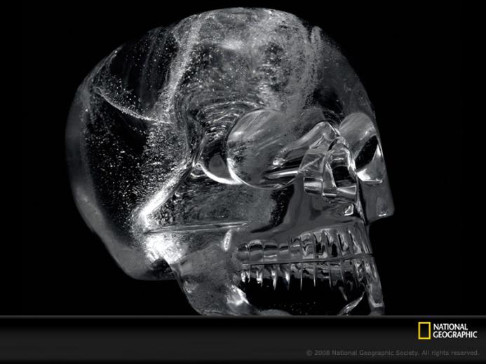 🔥 [50+] Crystal Skull Wallpapers | WallpaperSafari