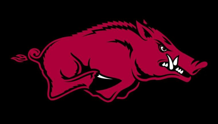 🔥 [90+] Razorback Wallpapers Free | WallpaperSafari