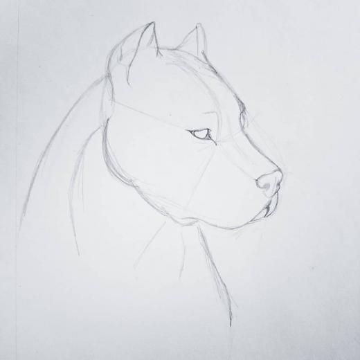 🔥 [30+] Pitty Wallpapers | WallpaperSafari