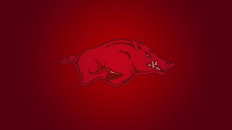🔥 [90+] Razorback Wallpapers Free | WallpaperSafari