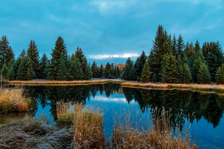 🔥 [50+] Forest Lake Wallpapers | WallpaperSafari