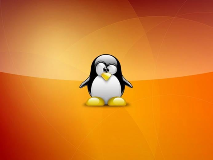 🔥 [40+] Linux Windows Wallpapers | WallpaperSafari