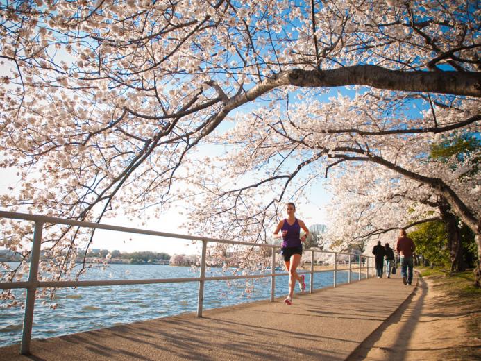 🔥 [50+] Rave Run Wallpapers | WallpaperSafari