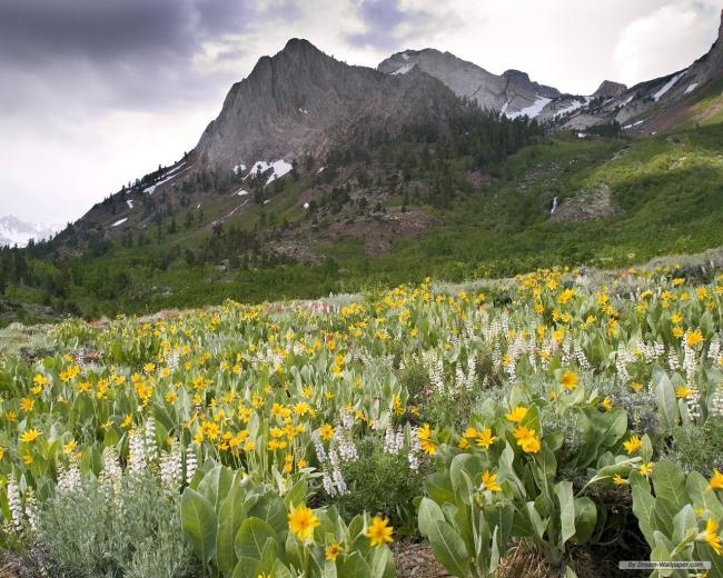 Free download Wallpaper Nature wallpaper Webshots Daily Photo ...